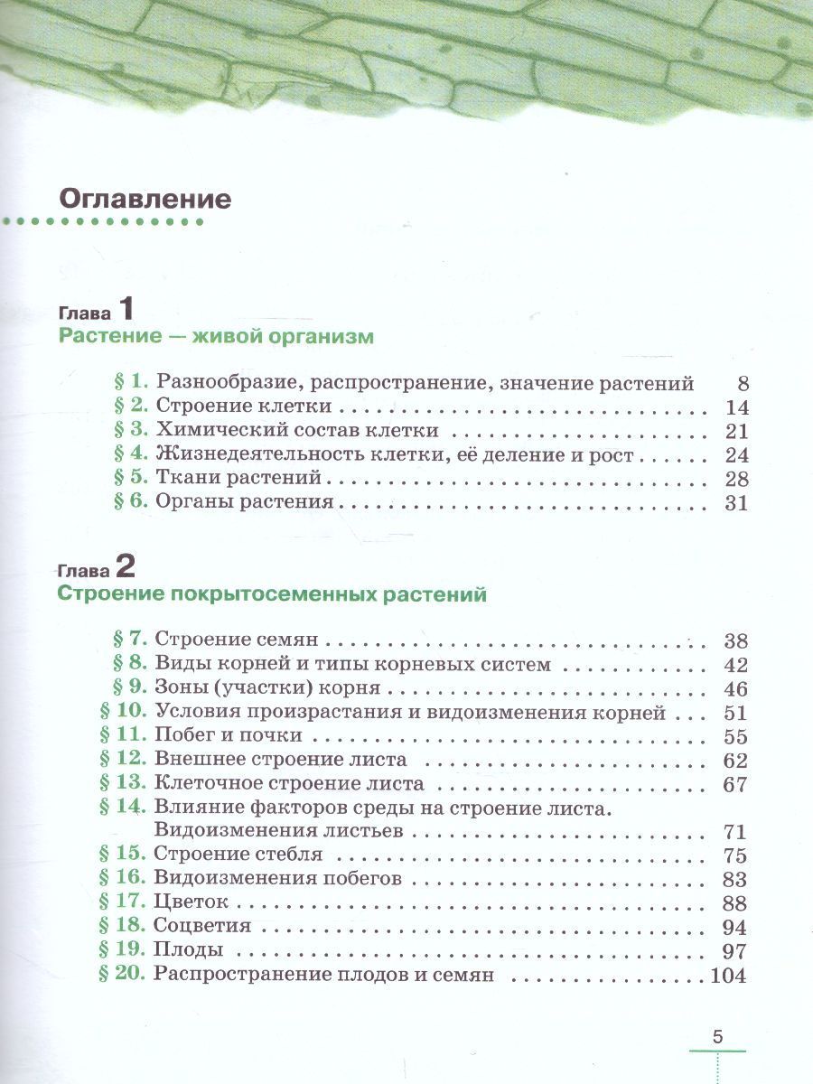 Биология 6 класс Покрытосеменные растения: строение и жизнедеятельность ...