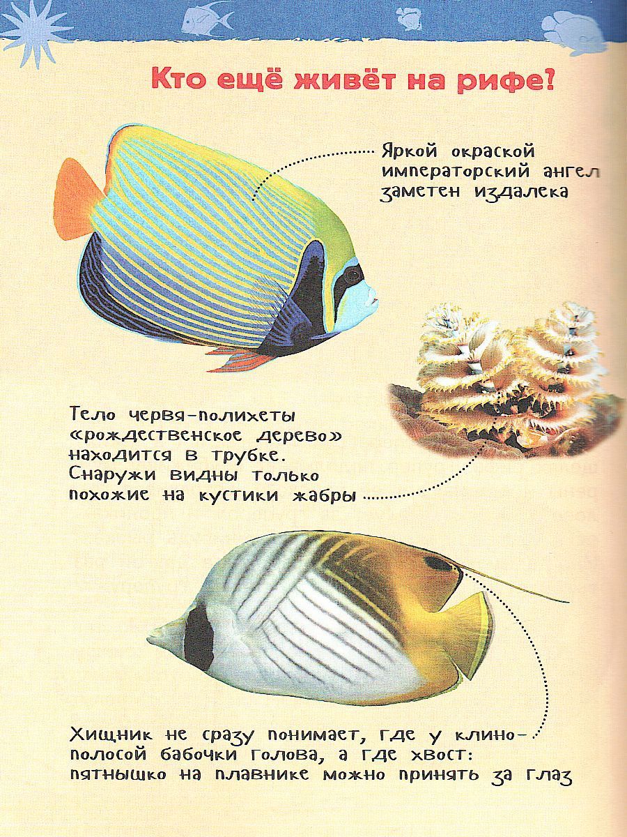Подводный мир. Энциклопедия для детского сада - Межрегиональный Центр ...